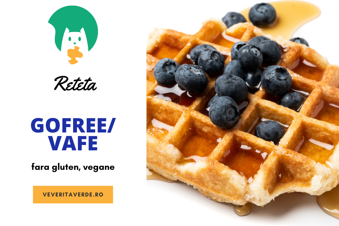 Reteta: Cea mai simpla reteta de gofree/vafe fara gluten – VeveritaVerde.ro