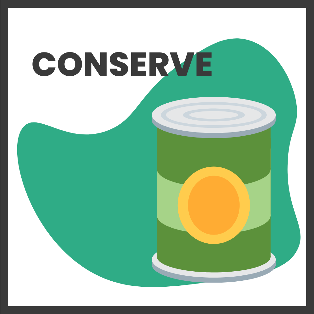 Conserve Fara Gluten VeveritaVerde.ro